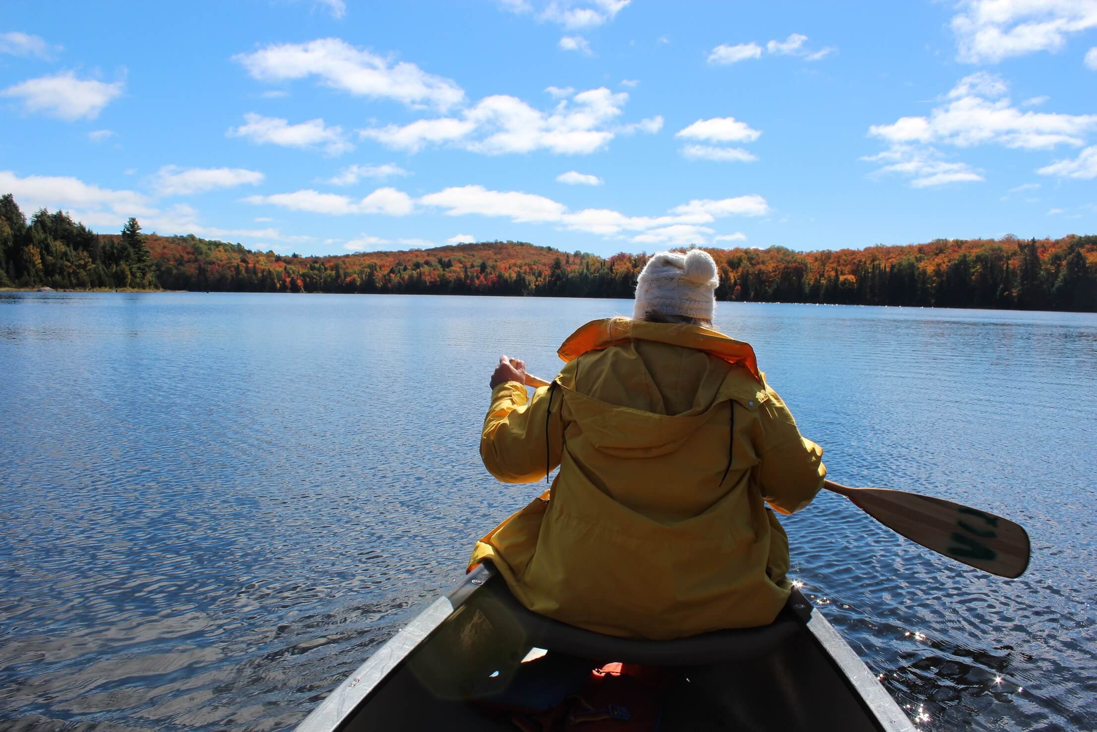Algonquin Park Explorer - De Canada Specialist